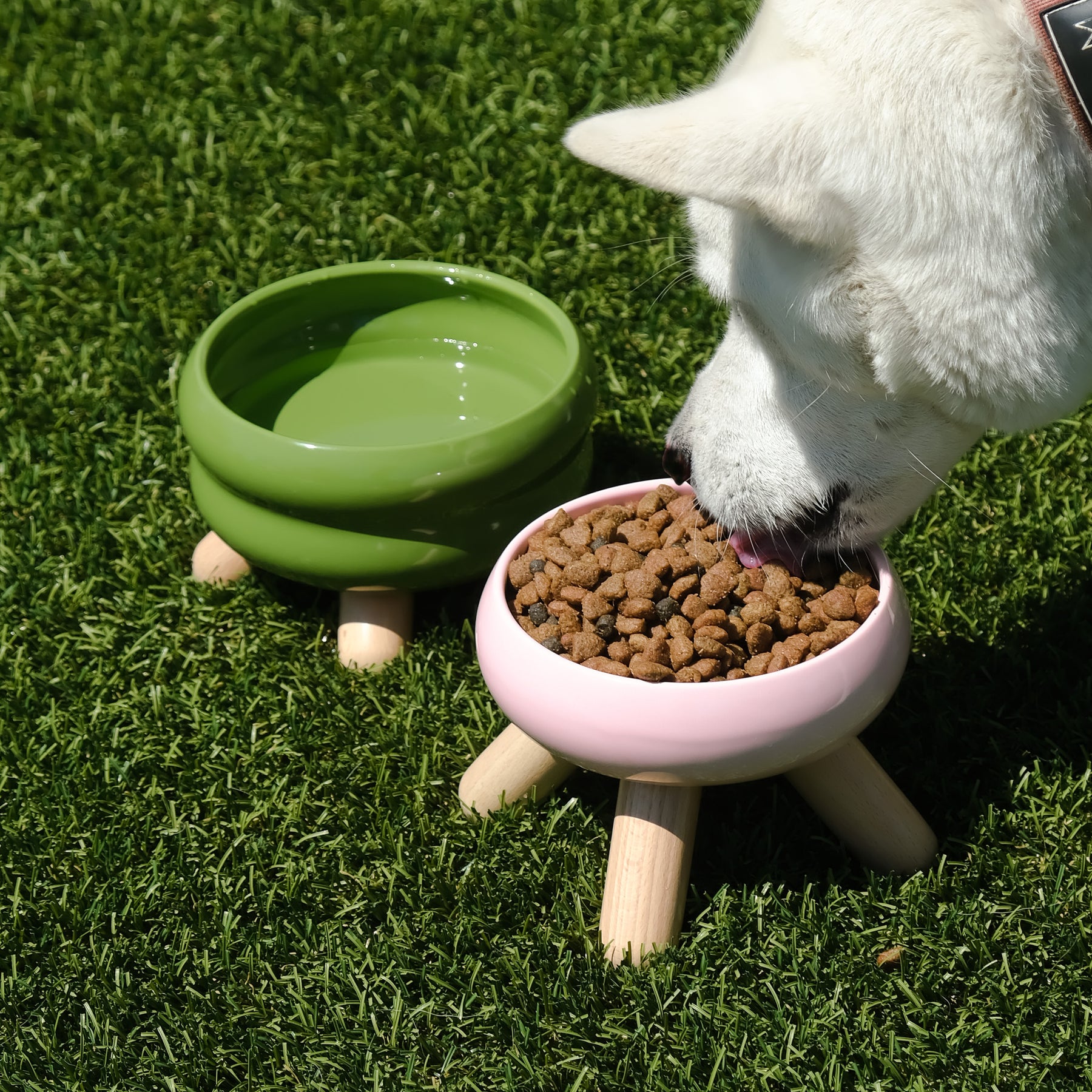 Elevated Ceramic Food Bowl